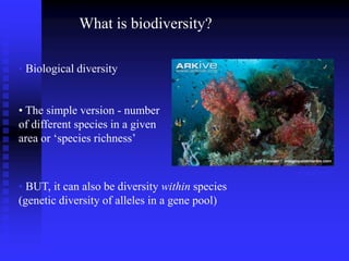 darwin evolution ppt.pptx