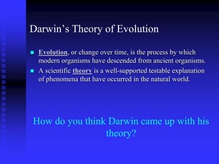 Darwin evolution ppt (yna fabros) | PPTX | Geography | Science