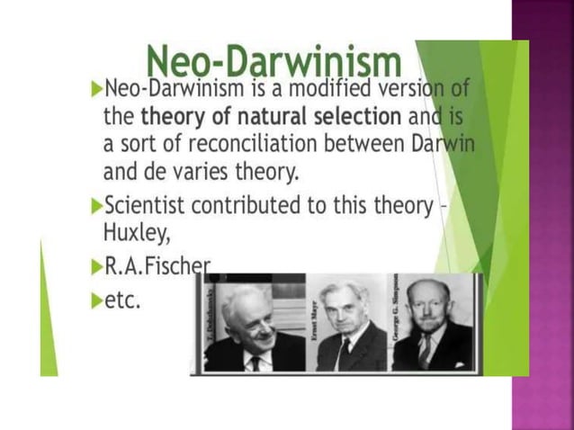 Darwinism and Neo Darwinism | PPTX | Biological Sciences | Science