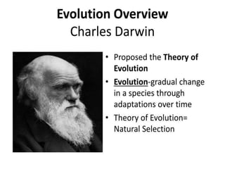 Darwinism and Neo Darwinism | PPTX