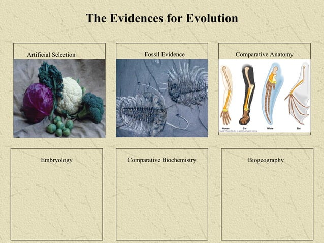 Darwinism powerpoint presentation of darwinism | PPT | Biological ...