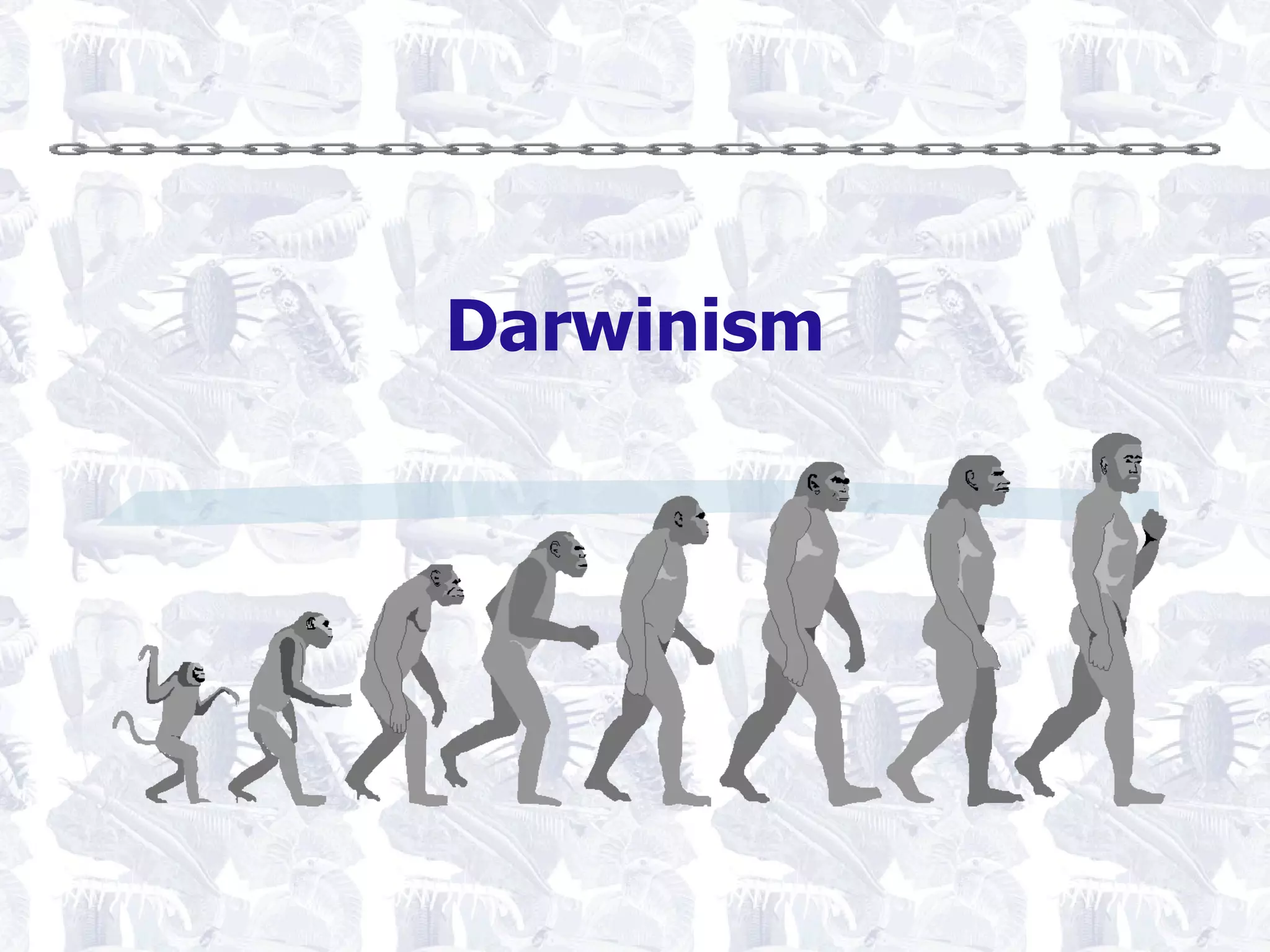 Darwinism (Feb 2009) | PPT