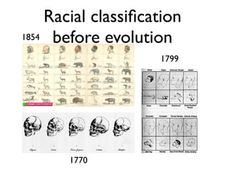 Darwinism and eugenics | PDF | Biological Sciences | Science