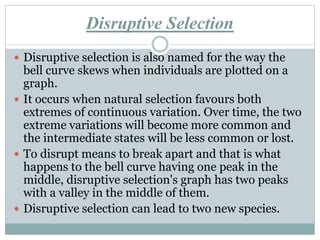Disruptive Selection Definition
