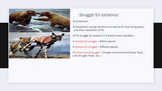 Darwinism and natural selection 7th zol.pptx