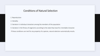 Darwinism and natural selection 7th zol.pptx