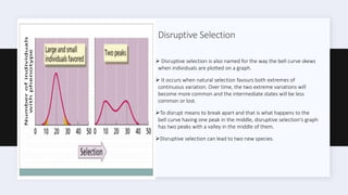 Darwinism and natural selection 7th zol.pptx