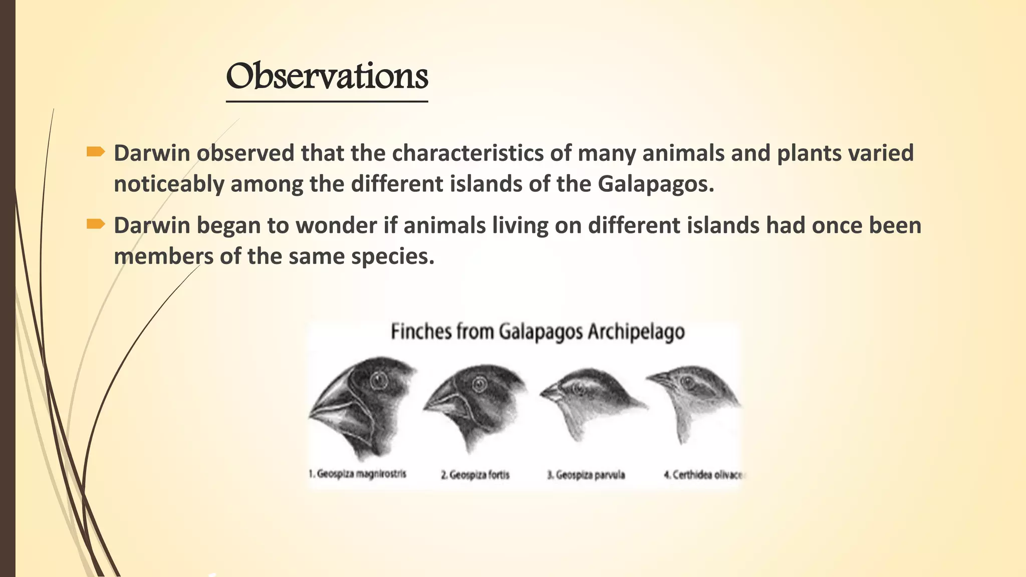 Darwinism theory and its criticism | PPTX