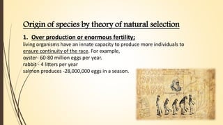 Darwinism theory and its criticism | PPTX