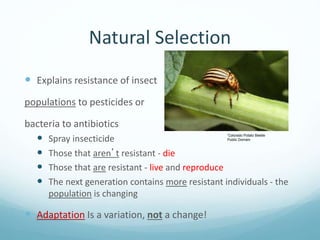 Darwin & natural selection | PPTX