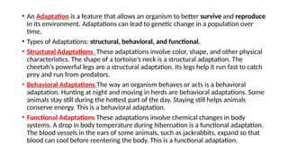 Darwin_Observation detailed powerpoint grade 10 HMH | PPTX