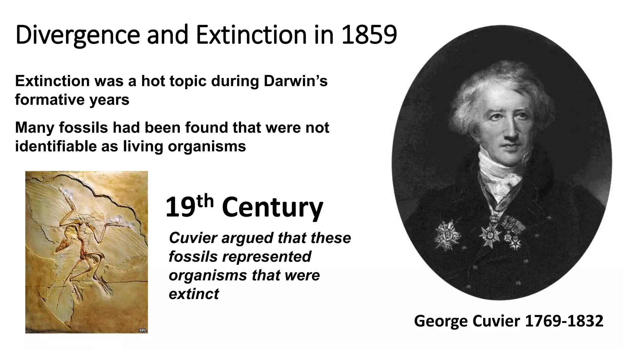 Darwin's Microevolution & Macroevolution (no videos) - Chaidir Adam ...