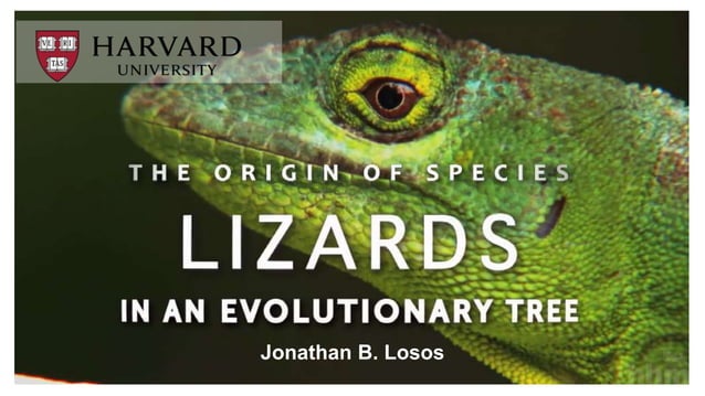 Darwin's Microevolution & Macroevolution (no videos) - Chaidir Adam ...