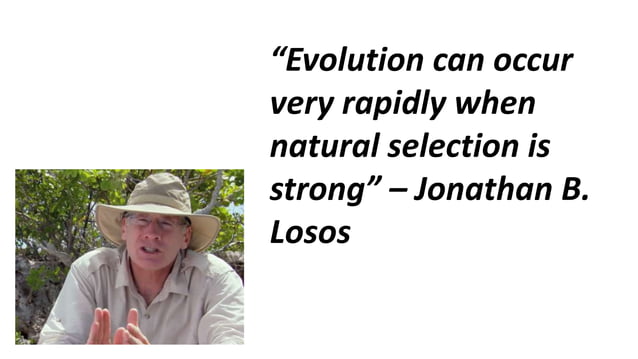 Darwin's Microevolution & Macroevolution (no videos) - Chaidir Adam ...