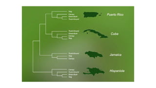 Darwin's Microevolution & Macroevolution (no videos) - Chaidir Adam ...