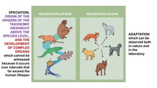 Darwin's Microevolution & Macroevolution (no videos) - Chaidir Adam ...