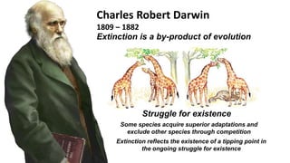 Darwin's Microevolution & Macroevolution (no videos) - Chaidir Adam 2018 | PPT