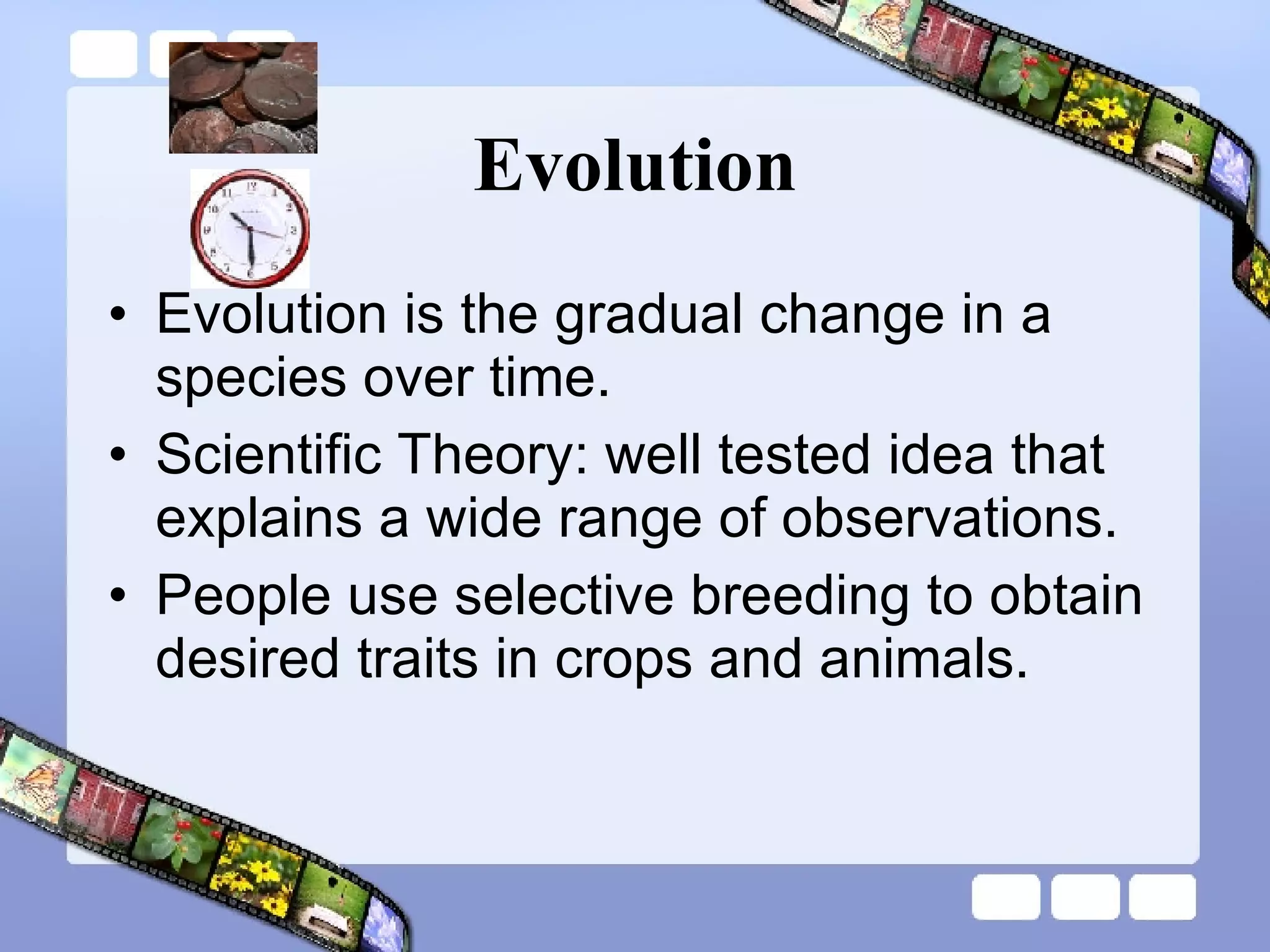 Darwin’s Voyage | PPT