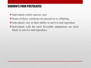 Darwins concept | PPT