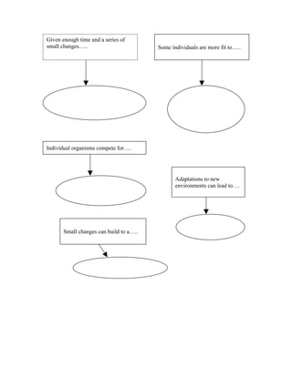 Darwins Dangerous Idea Graphic Organizer | PDF