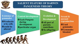 Darwin sexual selction, pangensis and artificial theory | PPTX