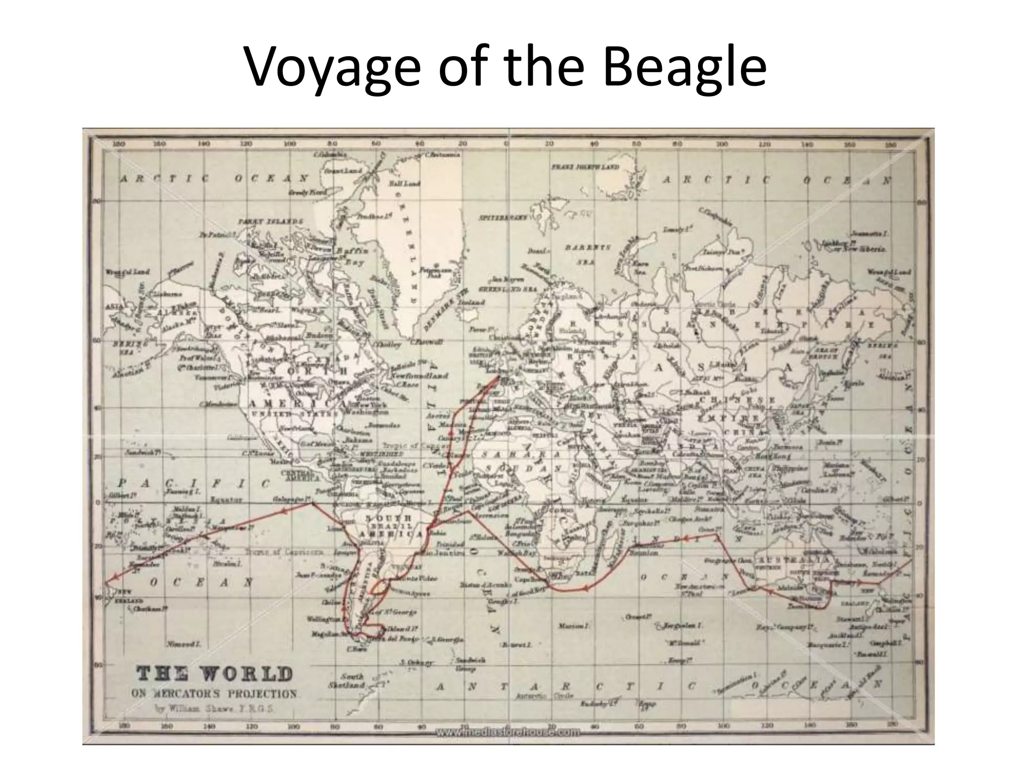 Charles Darwin: The Galapagos Finches and the Emergence of Evolutionary ...