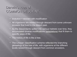 Evolution | PPT