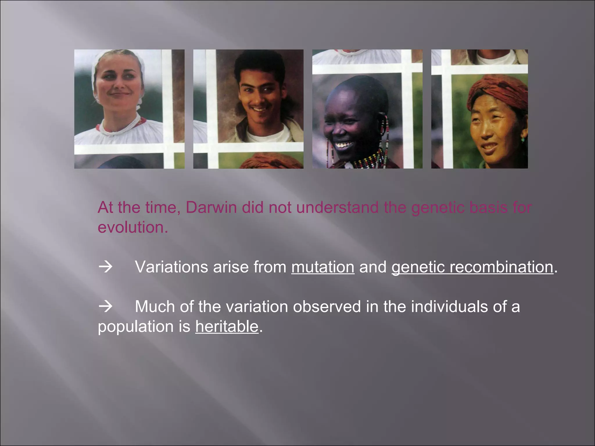 Darwin’s theory of evolution | PPT