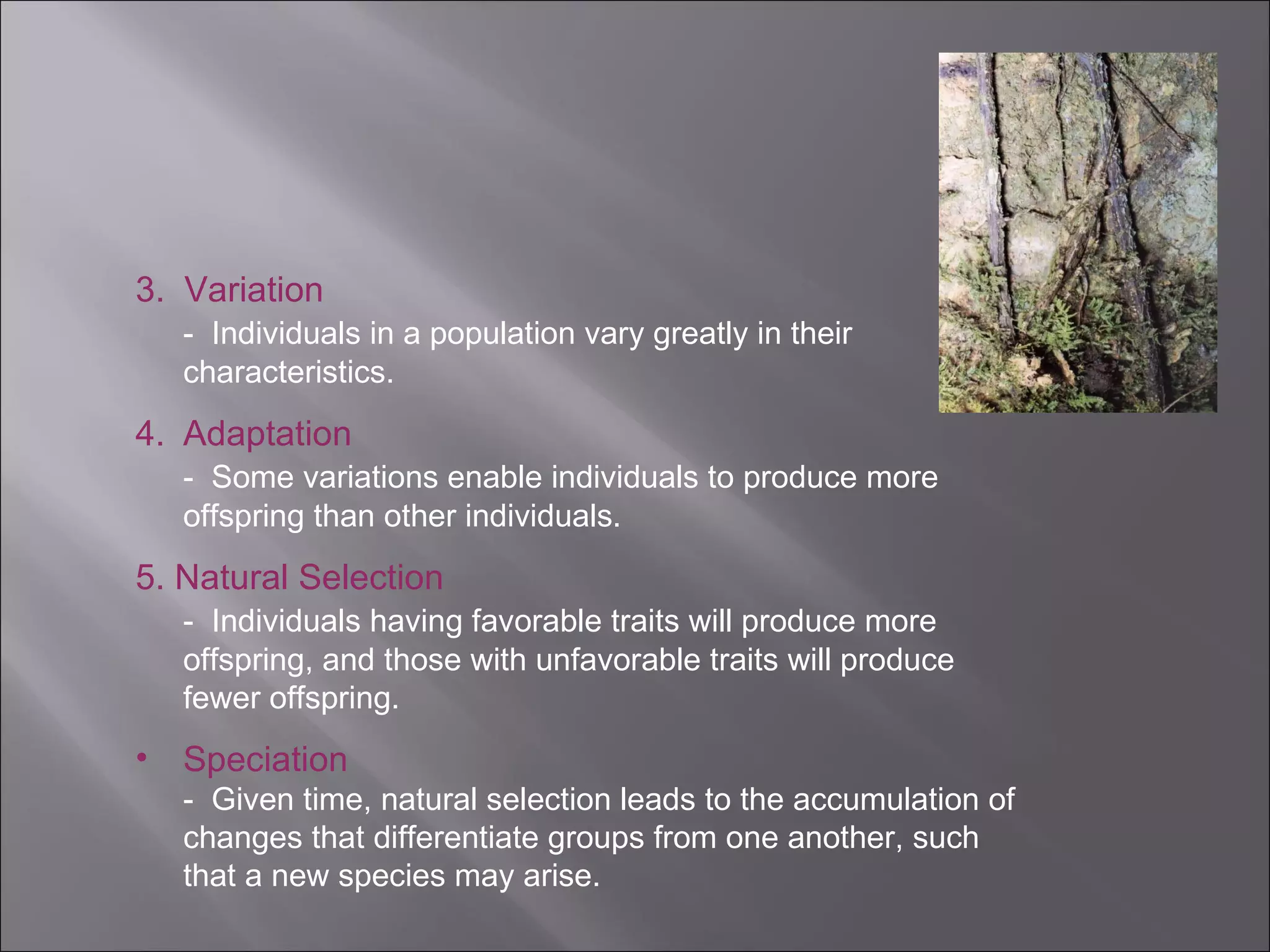 Darwin’s theory of evolution | PPT