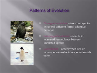 Darwin’s theory of evolution | PPT