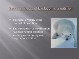 Darwin’s theory of evolution | PPT