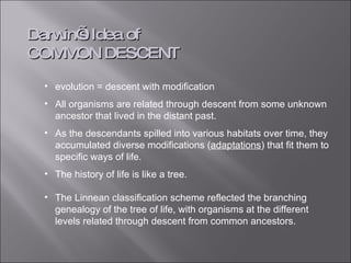 Darwin’s theory of evolution | PPT