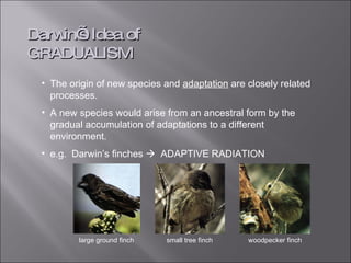 Darwin’s theory of evolution | PPT