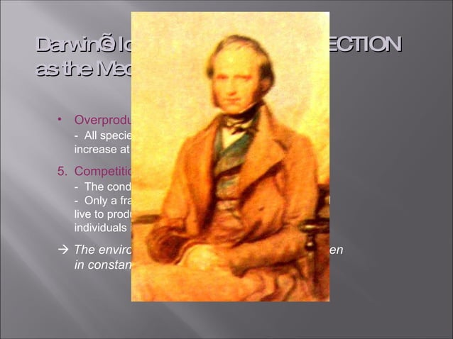 Darwins Theory Of Evolution Ppt