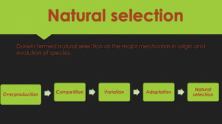 Darwin’s theory of evolution | PPTX