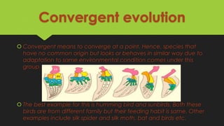 Darwin’s theory of evolution | PPTX