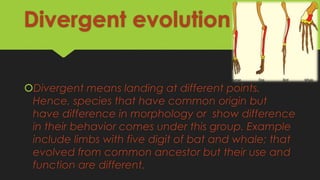 Darwin’s theory of evolution | PPTX