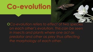Darwin’s theory of evolution | PPTX