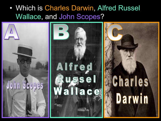 Charles Darwin, Alfred Russel Wallace, John Scopes, Evolution Lesson ...