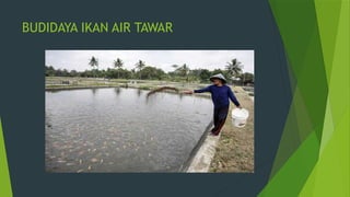 MATA KULIAH DASAR BUDIDAYA PERIKANAN.pptx
