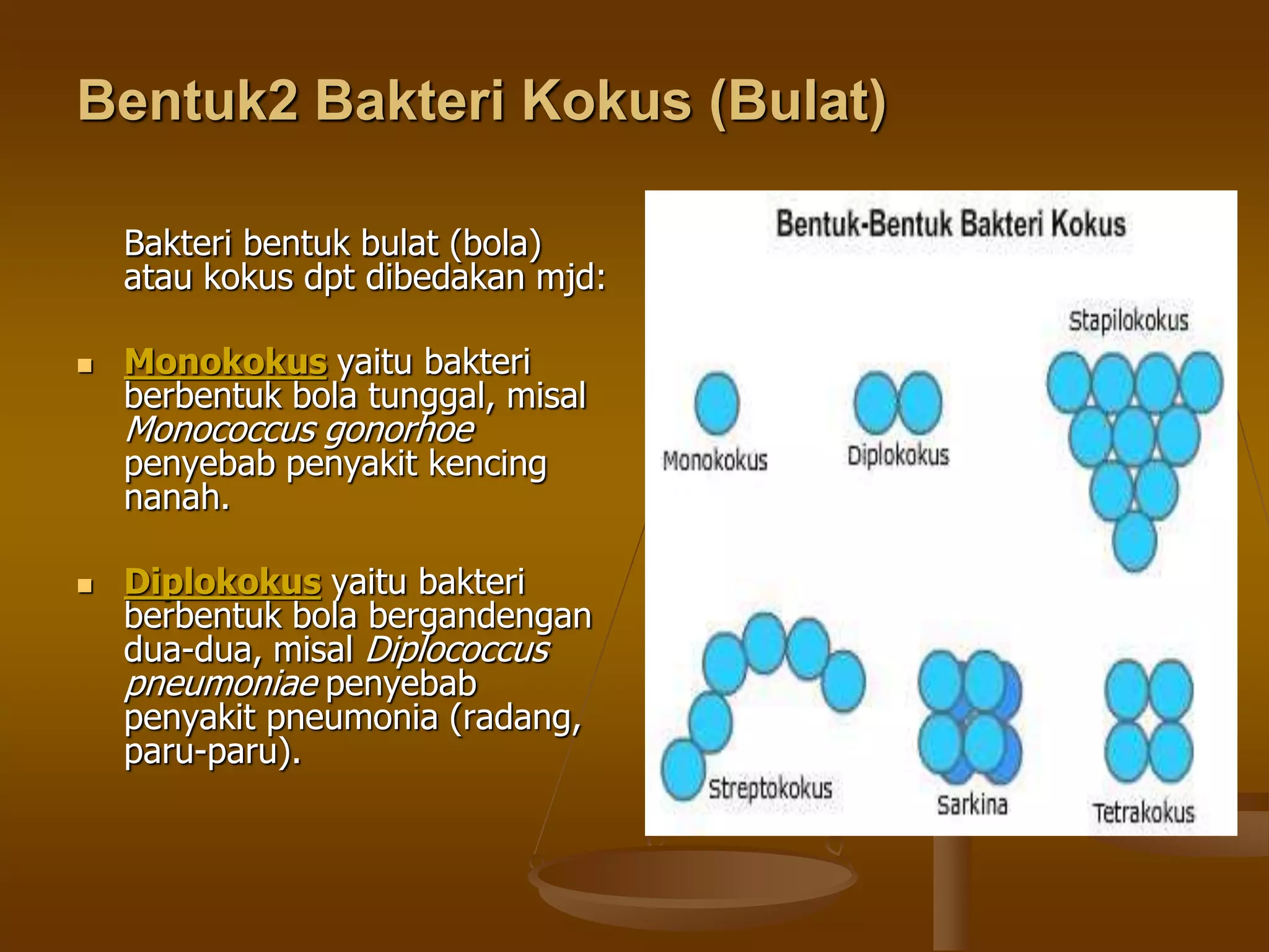 dasar-dasar-bakteriologi-2_(1)_2.ppt