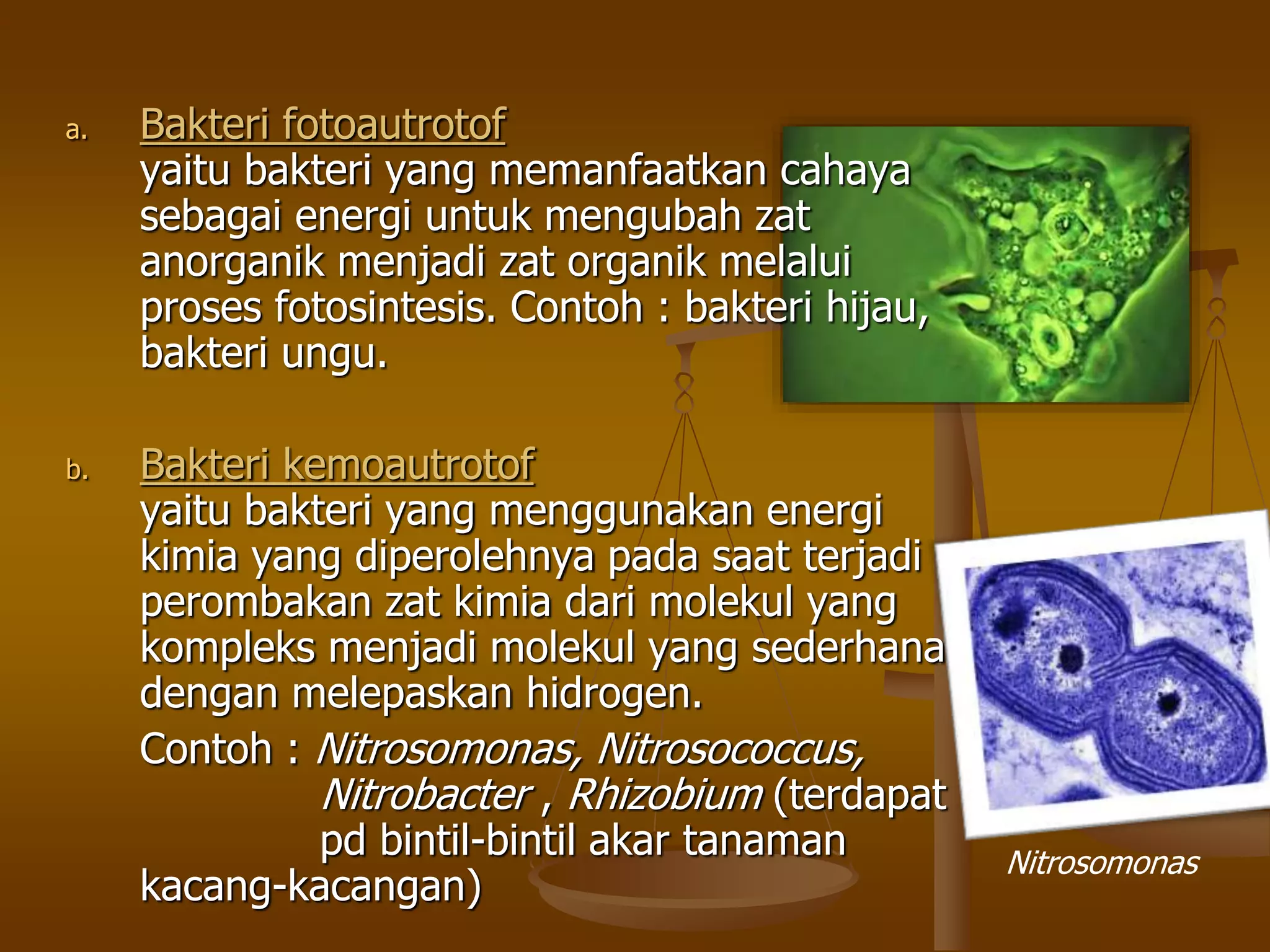 dasar-dasar-bakteriologi-2_(1)_2.ppt
