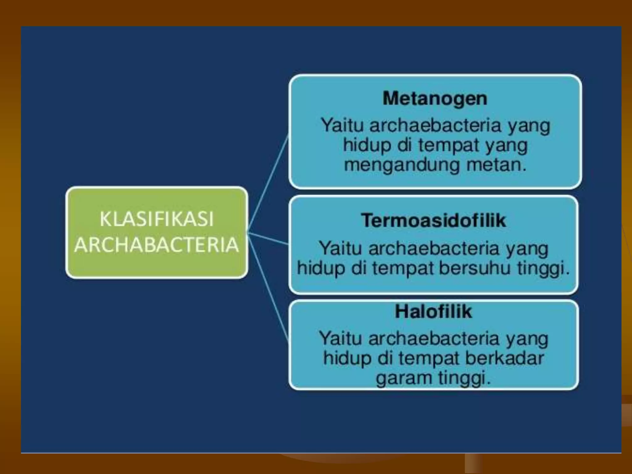 dasar-dasar-bakteriologi-2_(1)_2.ppt