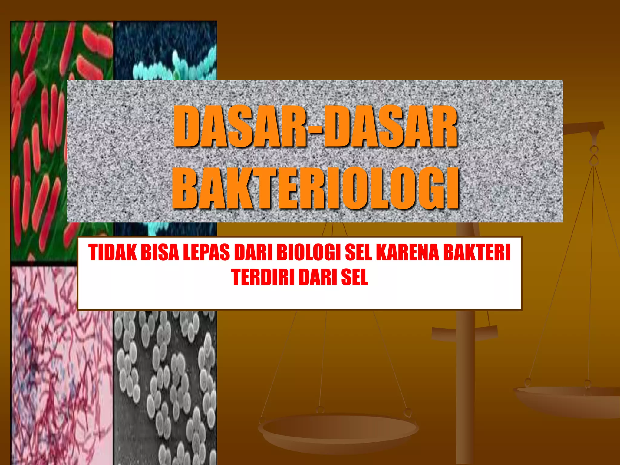 dasar-dasar-bakteriologi.ppt