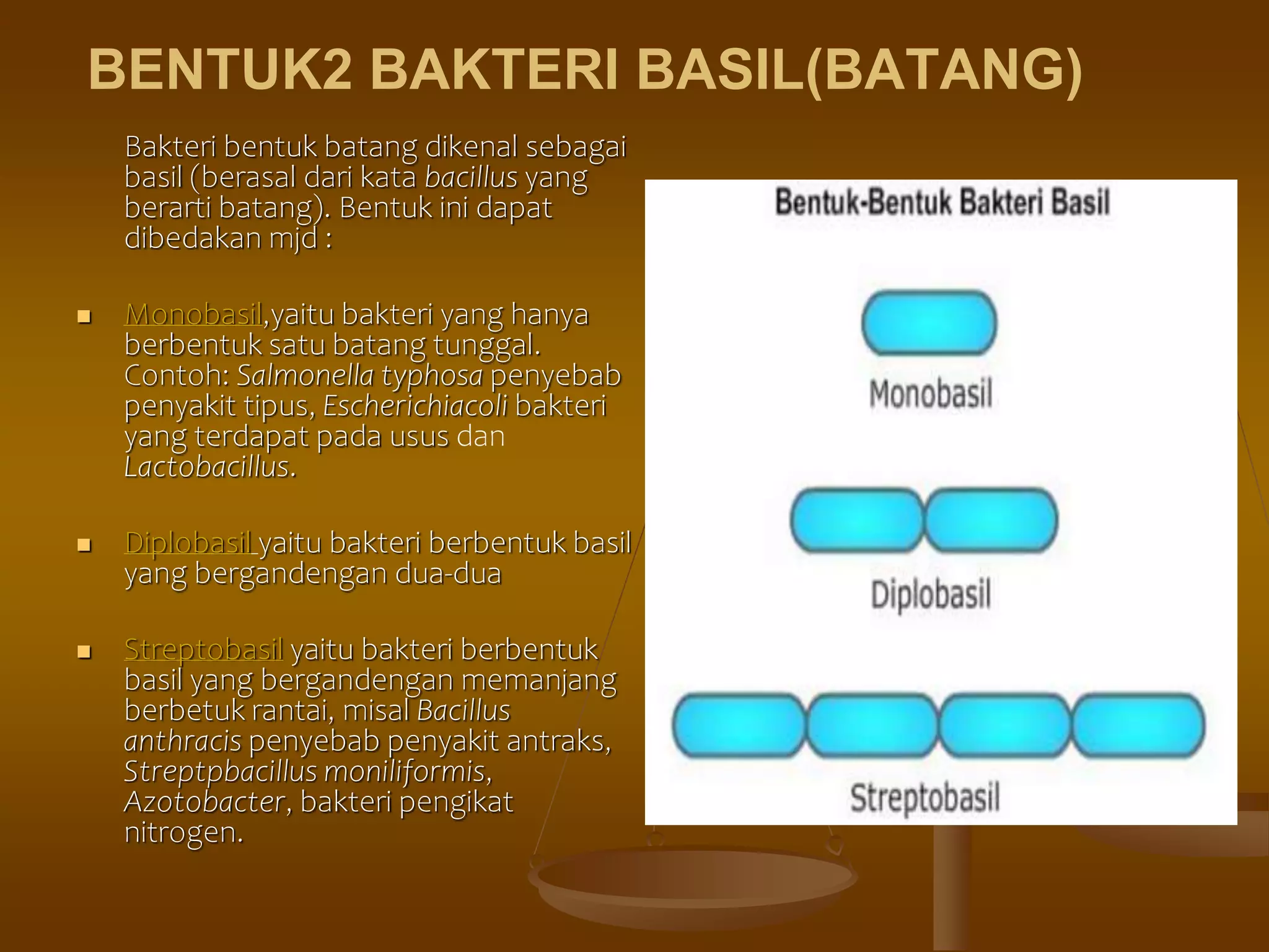 dasar-dasar-bakteriologi.ppt