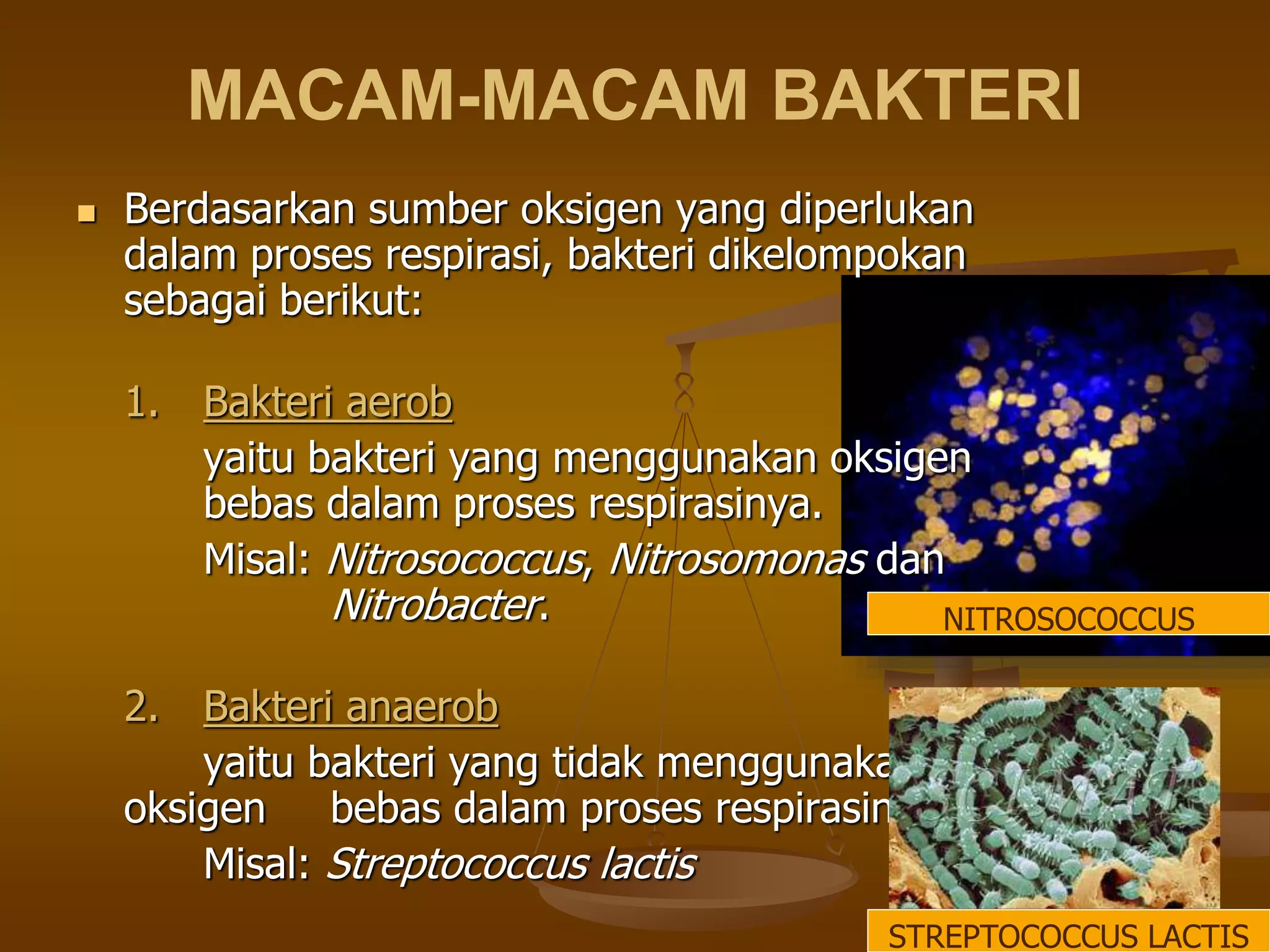 dasar-dasar-bakteriologi.ppt