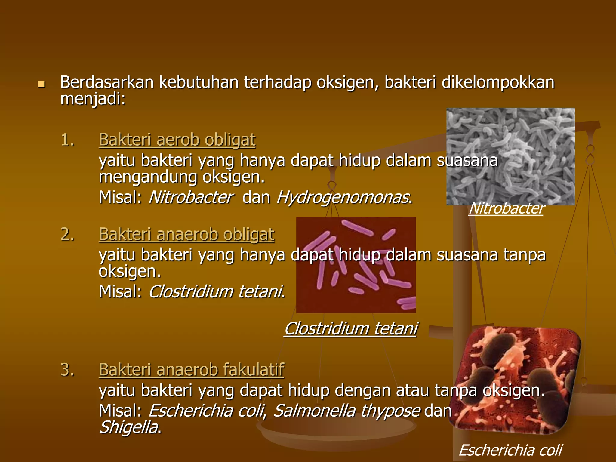 dasar-dasar-bakteriologi.ppt