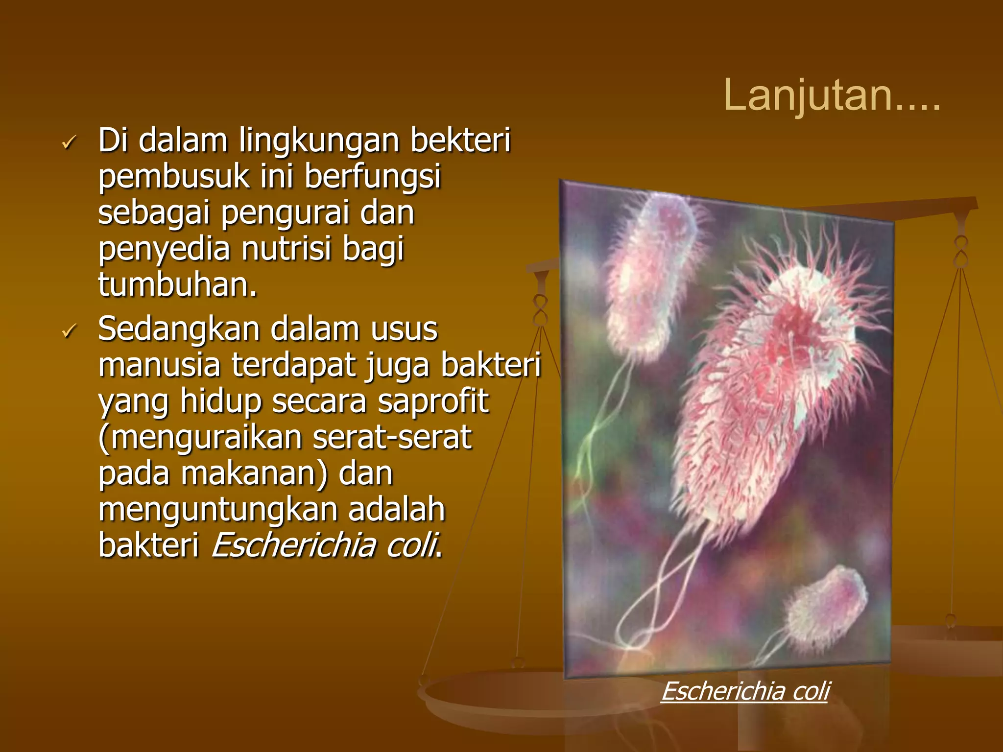 dasar-dasar-bakteriologi.ppt