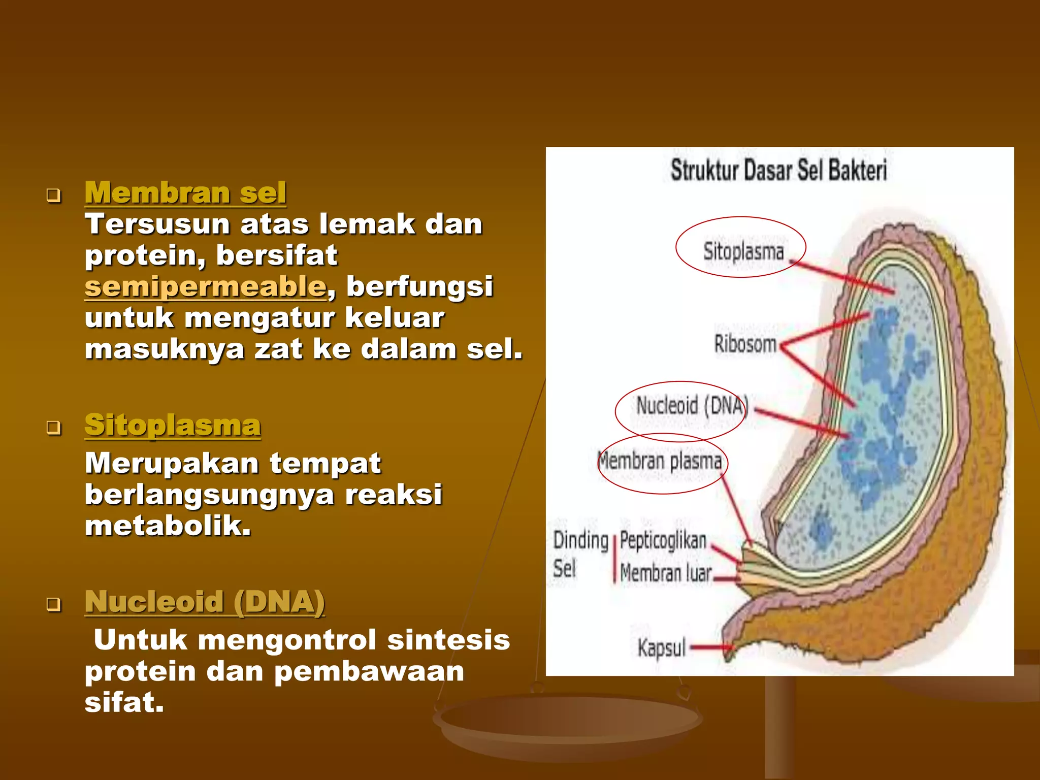 dasar-dasar-bakteriologi.ppt