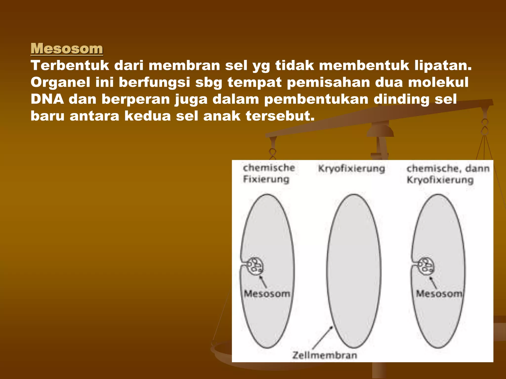dasar-dasar-bakteriologi.ppt